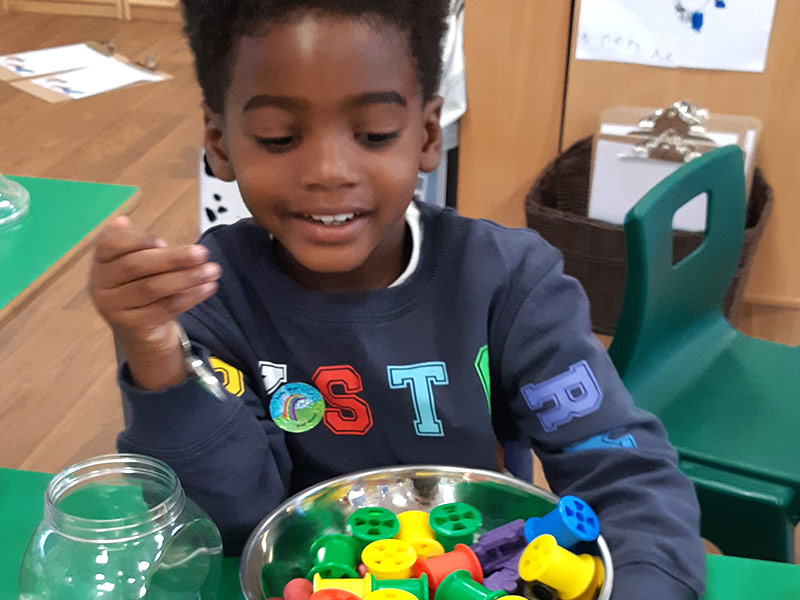 Application Process - Blackheath Prep