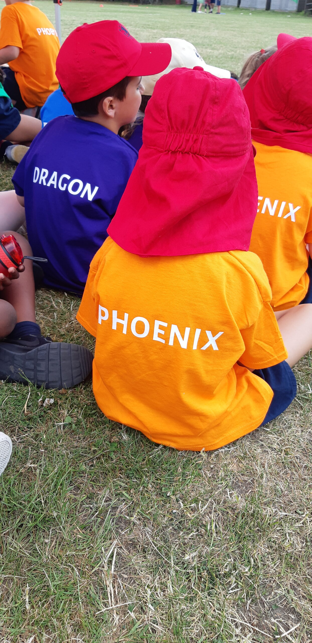 Houses - Blackheath Prep