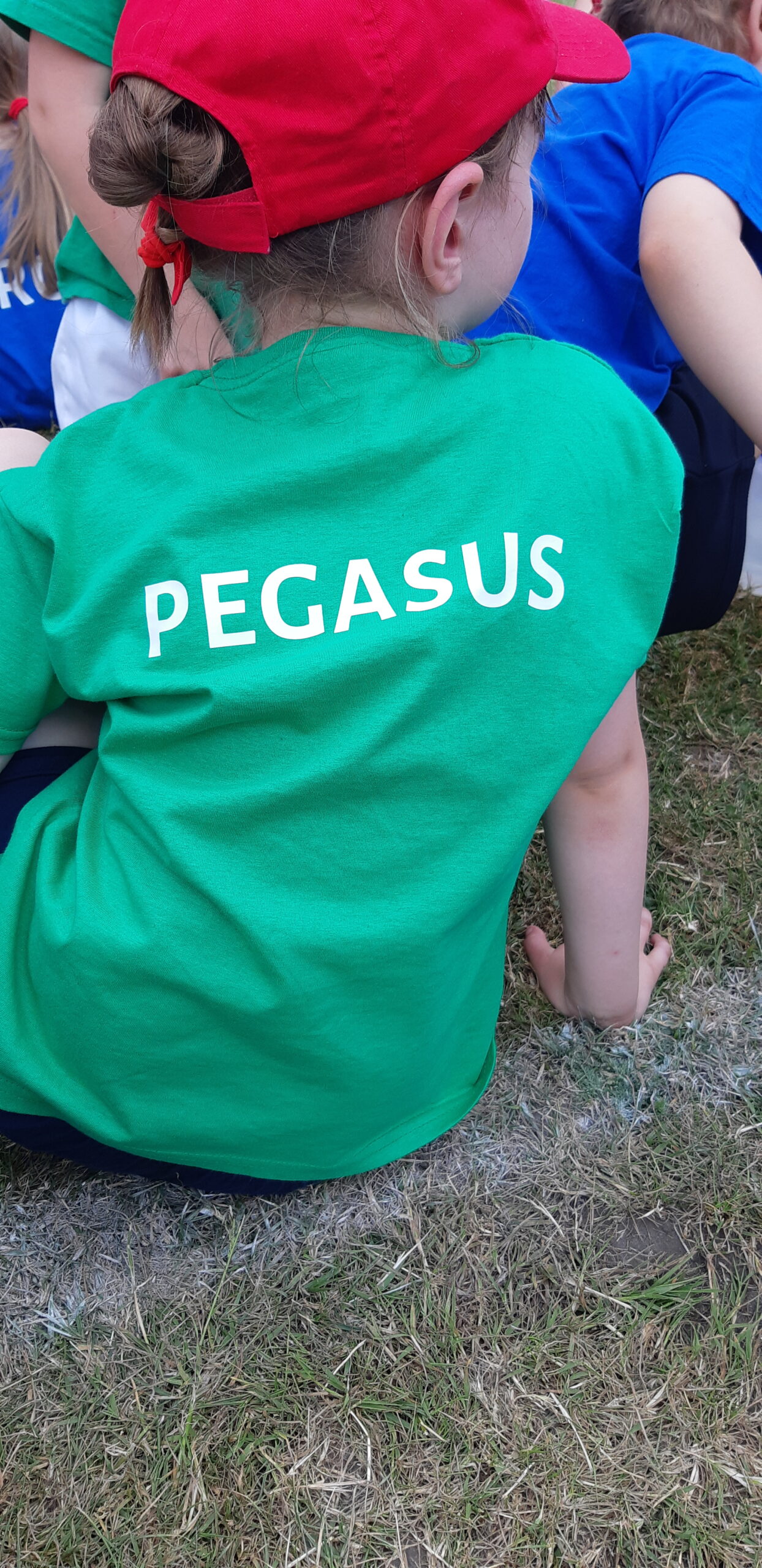 Houses - Blackheath Prep