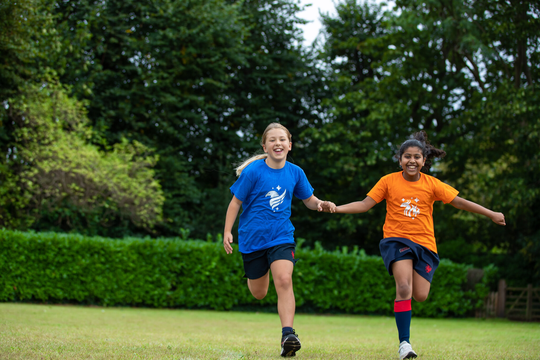 Houses - Blackheath Prep